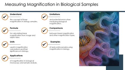 Measuring Magnification In Biological Samples Ppt Demonstration Acp Ppt Template