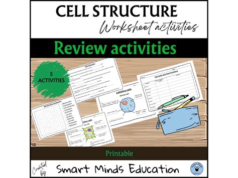 Plant And Animal Cell Structure Activity Worksheets Teaching Resources