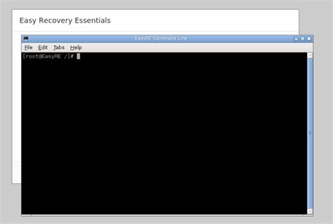 Advanced Tools For It Experts Easy Recovery Essentials For Windows