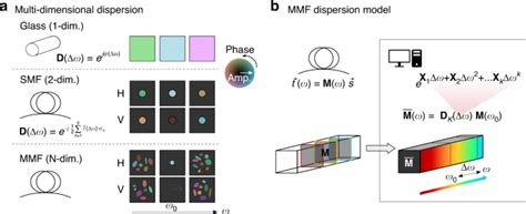 多模光纤中的高效色散建模 light science and applications x mol