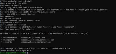 Using Wsl Pyxai Documentation