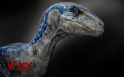 Blue Raptor Jurassic World Jurassic World Lmni