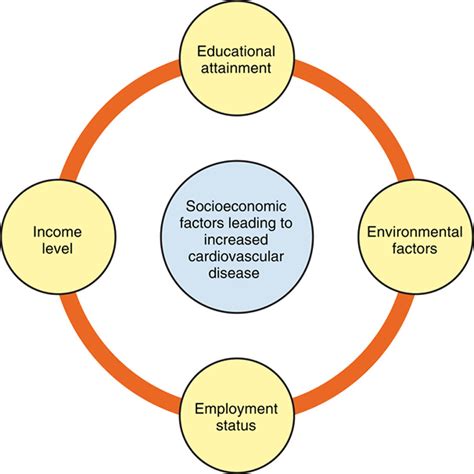 Socioeconomic Status And Cardiovascular Outcomes Circulation
