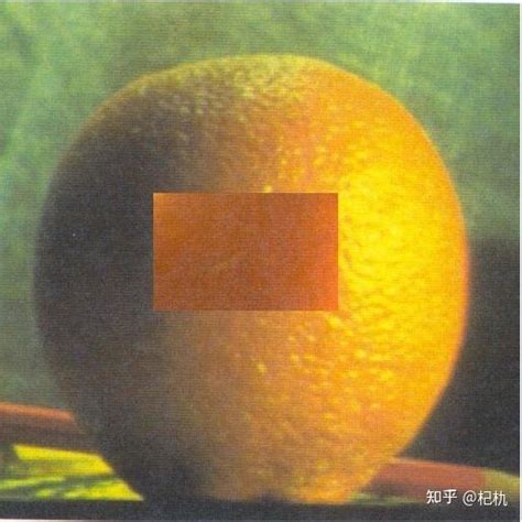 常见图像融合算法 alpha和金字塔融合 知乎