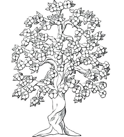 نقاشی درخت برای کودکان؛ طرح‌های زیبا برای رنگ آمیزی ستاره