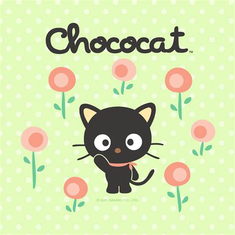 Chococat Wallpapers And Backgrounds