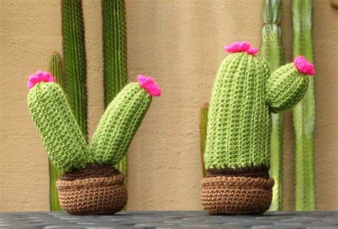 Acting My Vint Age The Cuddly Cacti