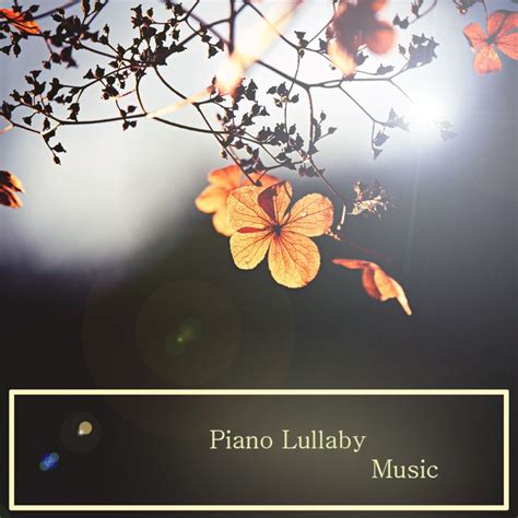 ‎클래식 자장가 마음을 진정시켜주고 심리안정 깊은잠 포근한 숙면을 도와주는 행복한 꿈을 위한 잔잔한 꿀잠 명상 피아노자장가 모음집 2 Album By 피아노자장가 음악