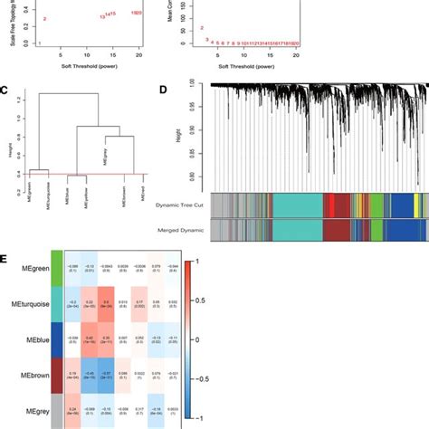 Module Detection Gene Significance And Module Membership Of Pe Download Scientific Diagram