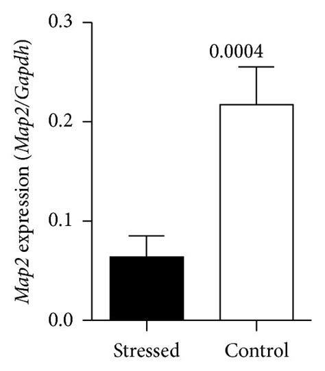 Whole Genome Microarray Gene Expression Profiling Detected Download Scientific Diagram