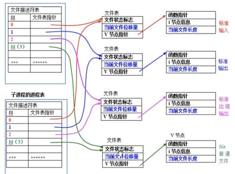 进程控制父子进程c 父进程 Csdn博客