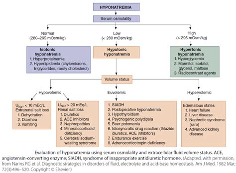 Diagnostic Algorithm Of Hyponatremia Medizzy
