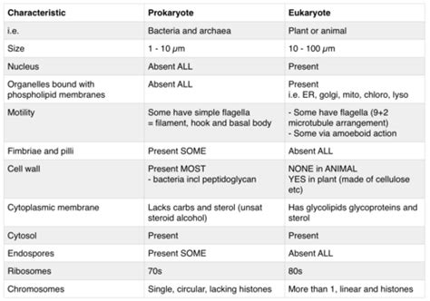 CELS FINAL Cell Structure Flashcards Quizlet CELS FINAL Cell Structure Flashcards Quizlet