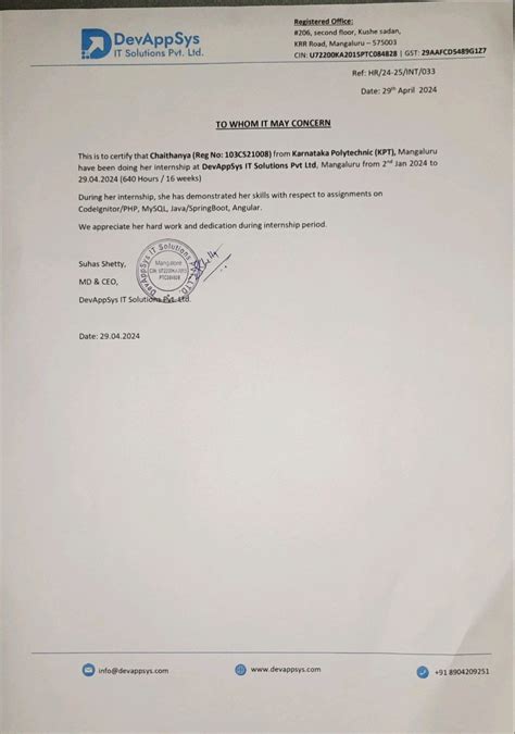 Internshipexperience Devappsys Throwback Softwaredevelopment