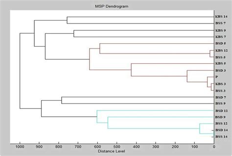 Dendrogram Of B Subtilis Generated Using The Msp For The Planktonic