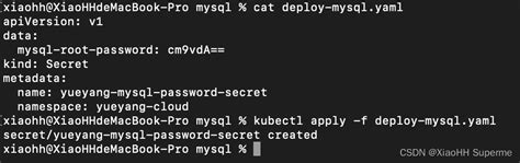 在kubernetesk8s上部署整个springcloud微服务应用kubernetes部署应用 Csdn博客