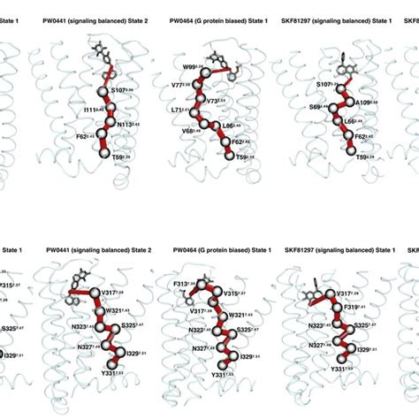 Internal Conformational States Of Non Catechol Compounds A 2d Pmf Download Scientific Diagram