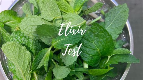 Elixir Test Hobnob