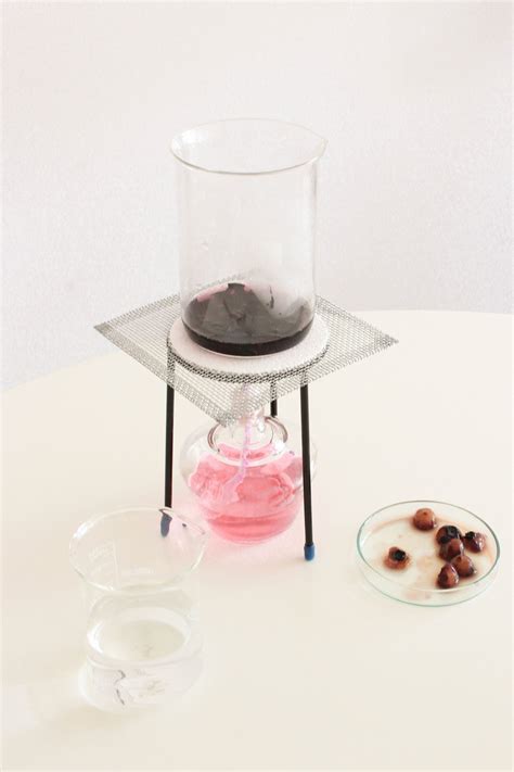 Margarita Talep Develops Algae Based Alternative To Single Use Plastic Packaging