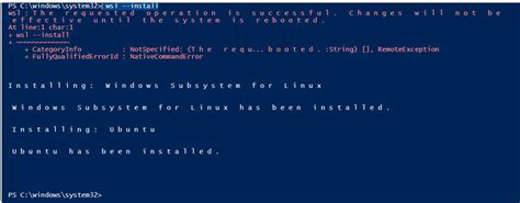 Container WSL