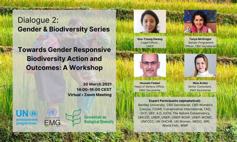 Towards Gender Responsive Biodiversity Action And Outcomes Geneva Environment Network