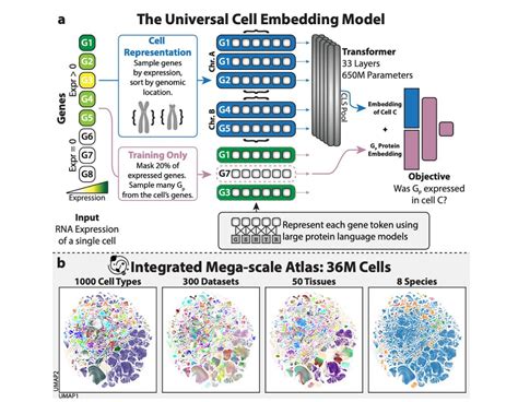 Freedom Preetham On Linkedin Redefining Cellular Insights Universal Embeddings And Beyond