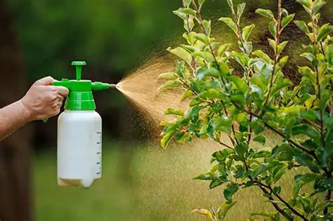 Technical Products Insecticides