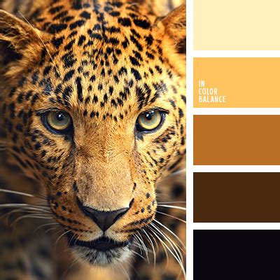 янтарный | IN COLOR BALANCE