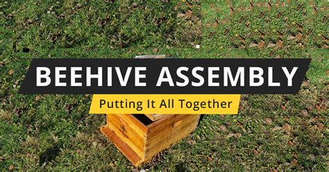 How Do I Assemble My Beehive Galena Farms