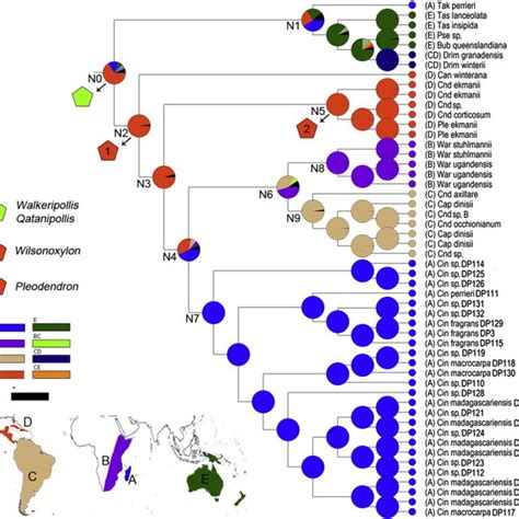 Biogeographic Reconstruction For Canellales Using The Bayesian Binary Download Scientific