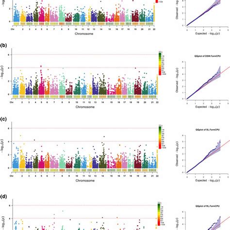Manhattan And Qq Plots Of Highly Associated Snps For Agronomic Traits Download Scientific