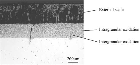 Cross Section Of Oxidized 36ni Fe Alloy Download Scientific Diagram