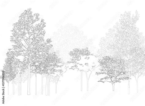 Architectural Drawings Minimal Style Cad Tree Line Drawing Side View