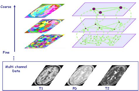 Illustration Of The Segmentation Pyramid Hierarchy The Pyramid Is