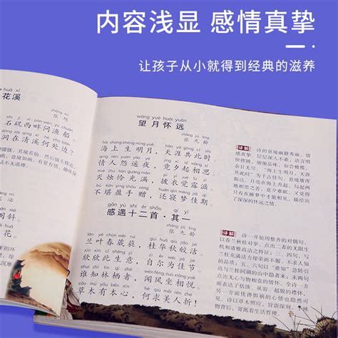 全2册唐诗三百首 宋词三百首小学生正版全集唐诗宋词幼儿早教古诗词300首注音版一二年级课外阅读书籍儿童故事书附译文赏析 虎窝淘
