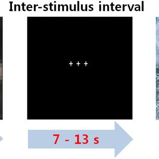 Results Of The Between Group Analysis A Bilateral Thalamus MNI Download Scientific Diagram