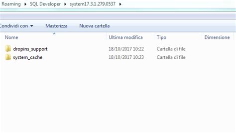 Sql Developer 731 Crash On Startup Oracle Forums