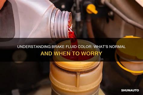 Understanding Brake Fluid Color Whats Normal And When To Worry Shunauto