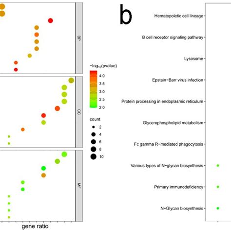 Of Circrna Ids Conversions For 5 Selected Circrnas Download Scientific Diagram