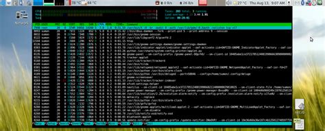 Linux Cpu Usage Constantly At 100 In Jaunty Laptop Super User