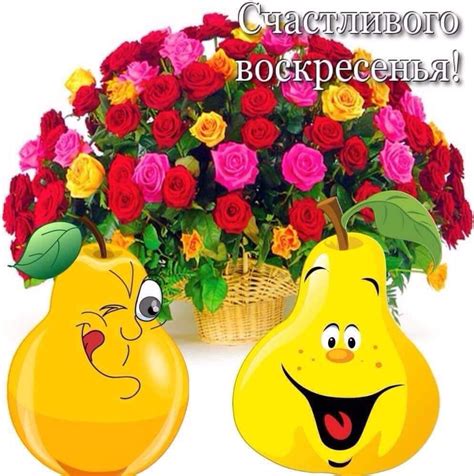 Картинка отличного вам воскресенья 39 фото Юмор позитив и много смешных картинок