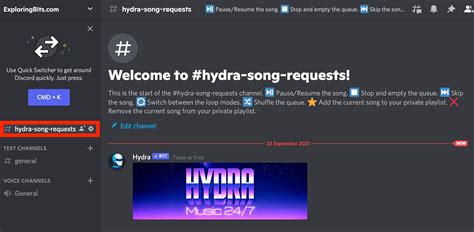 How To Use Hydra Bot Music Discord Hydra Bot Commands