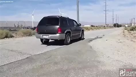 Lincoln Tunnel Gay Porn Videos Porn Star Sex Scenes XHamster