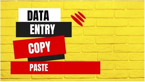 Do Exact Data Entry And Copy Paste Job With High Accuracy By