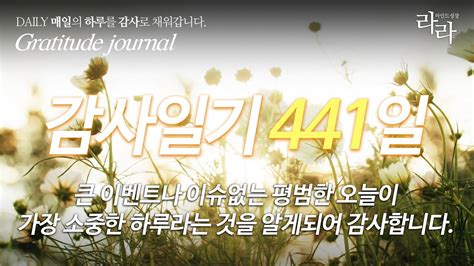 감사일기 441일 큰 이벤트나 이슈없는 평범한 오늘이 가장 소중한 하루라는 것을 알게되어 감사합니다감사일기 매일 감사로시작하는365 감사영상 감사 나와의약속