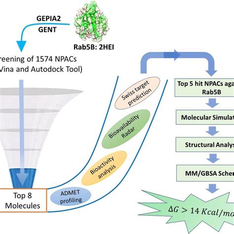Schematic Representation Of Lead Molecule Identification In Download Scientific Diagram
