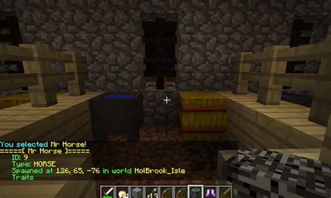 Npc Disapears Disappears · Issue 204 · Citizensdevcitizens2 · Github