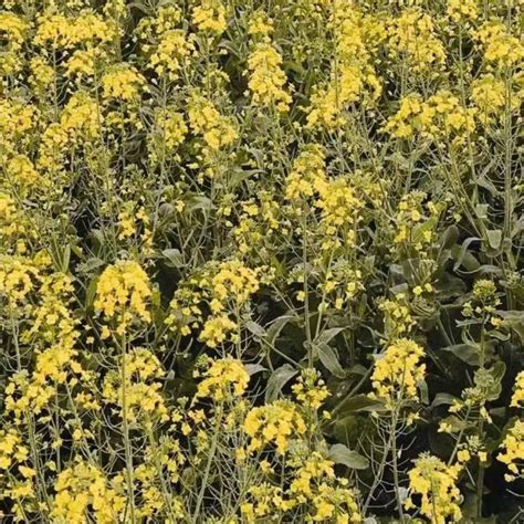 这种被忽视的免疫病，一旦错过早期，伤的不只是皮肤 手指 紧绷 硬皮病