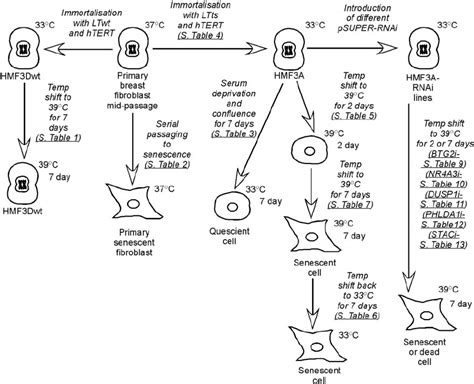 Outline Of The Experimental Conditions Used For Microarray Comparisons