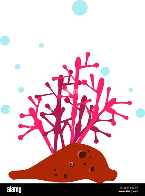 Single Polyp Stock Vector Images Alamy